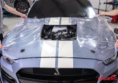 Ford GT500 | ESOTERIC