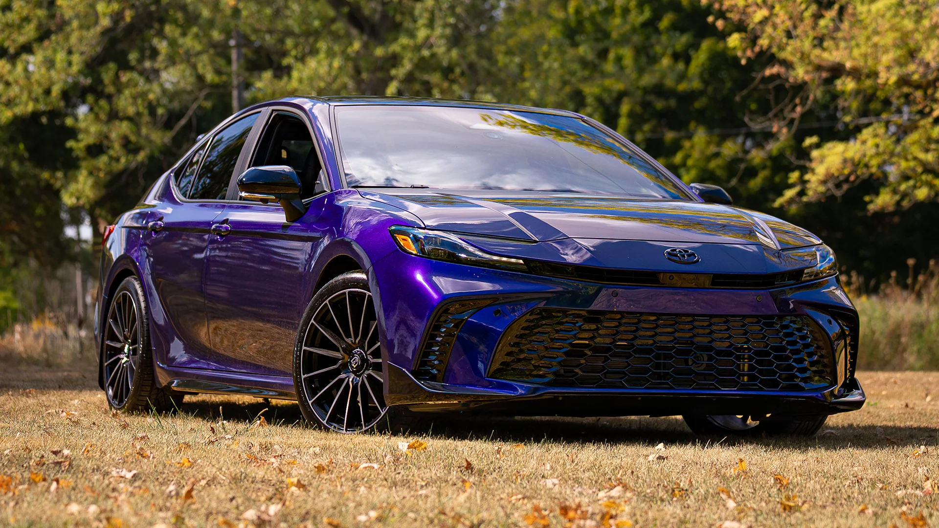 PPF and Car Detailing | Columbus & Cleveland